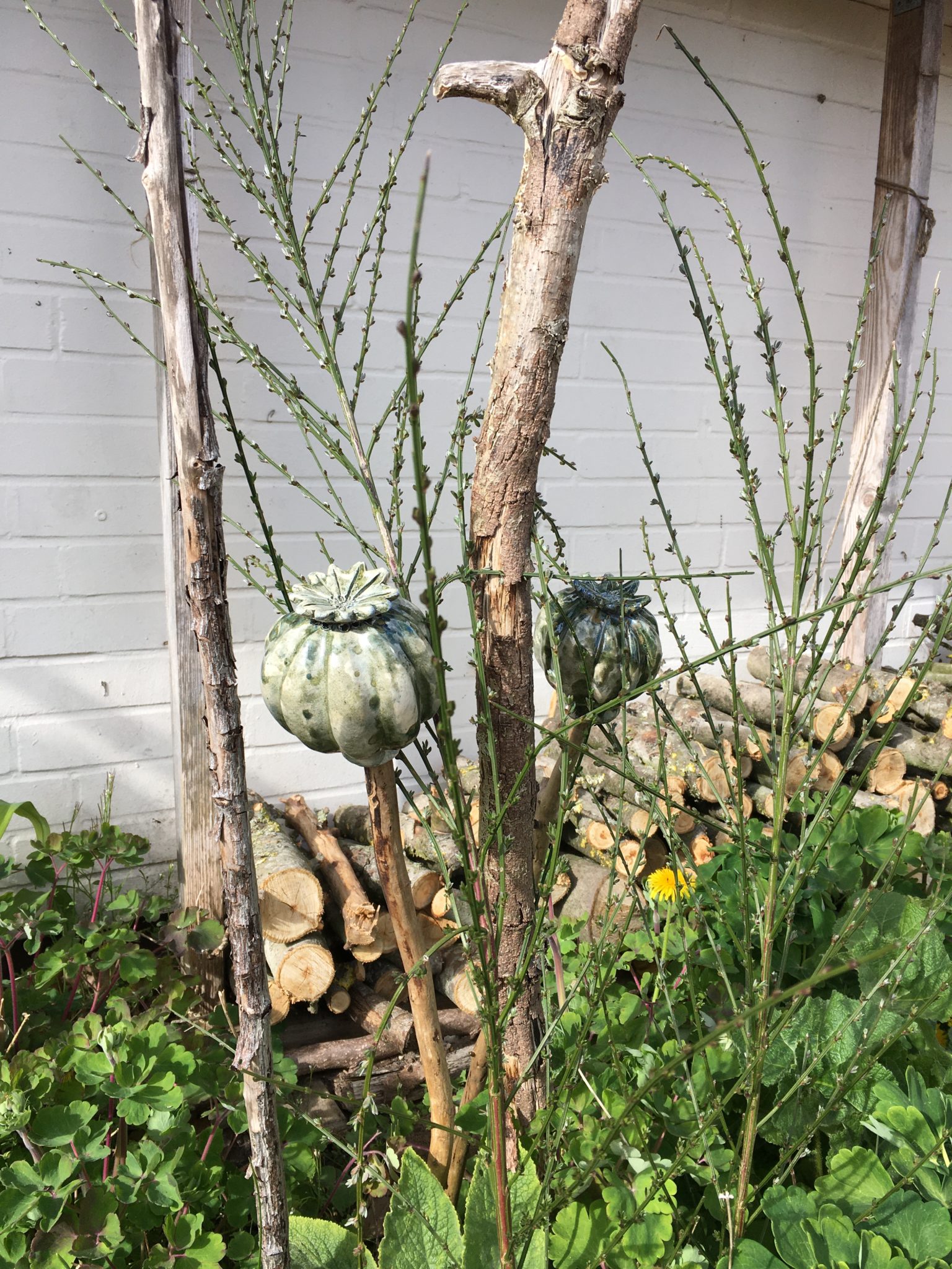 Es gibt viel zu entdecken – Ina Berg