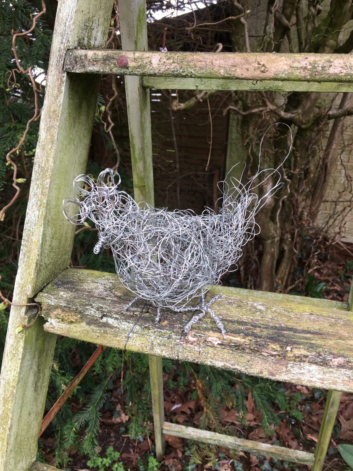 Es gibt viel zu entdecken – Ina Berg